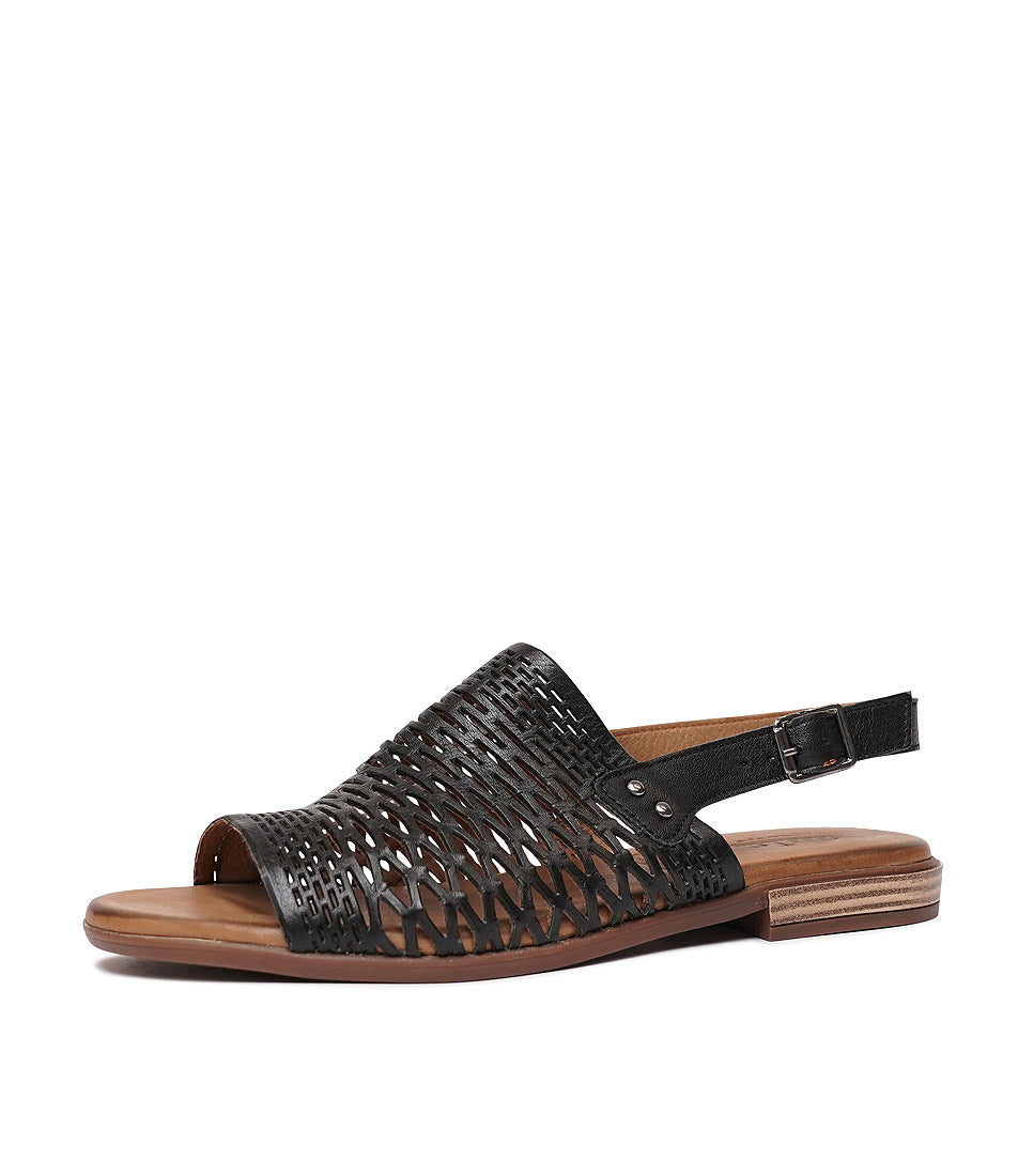 Sala Santos – Cooneys Clothing & Footwear